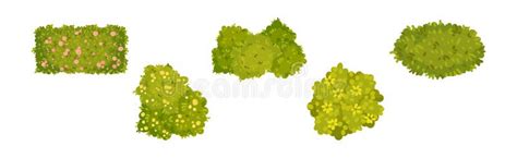 Green Bushes And Shaped Shrubs As Decorative Park Flora Vector Set