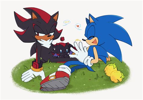 Sonic The Hedgehog Shadow The Hedgehog Dark Chao And Shadow Chao