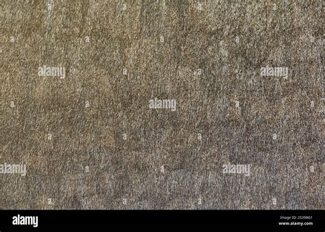 Texture Of Hay Bale Background Or Dry Grass Background Textured Hay Bale Background For