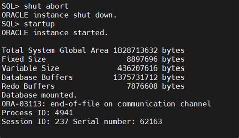 ORA 03113 End Of File On Communication Channel Datalinks Vn