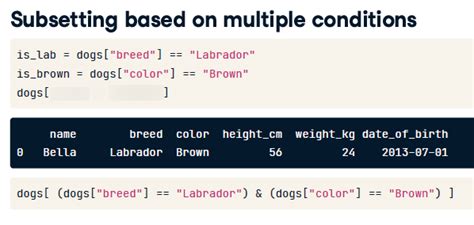 Subsetting Based On Multiple Conditions Diagram Quizlet