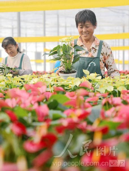 山东东营：管护花卉 人民图片网