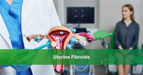 Uterine Fibroids Causes Symptoms And Treatment A Comprehensive