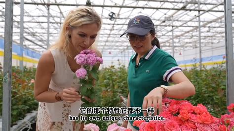 突出外国专利重围 鲜花也有“中国芯”？俄罗斯姑娘探访“亚洲花都”凤凰网视频凤凰网