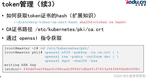 云原生k8s解密、k8s集群安装部署、calico插件安装部署 calico安装 csdn博客