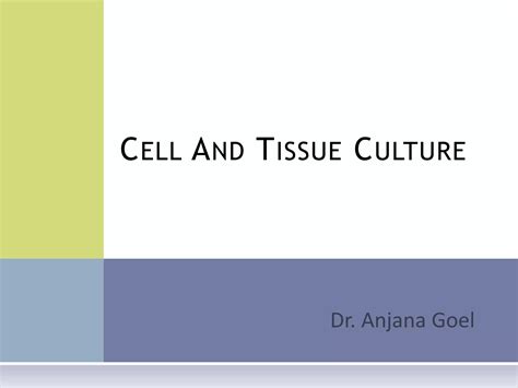 Introduction To Cell Culture Anjana Ppt