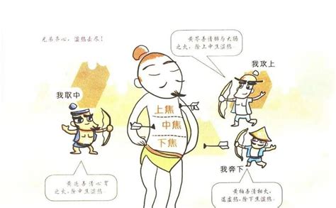 中药江湖里的 阮氏三雄”——黄芩、黄连、黄柏 搜狐大视野 搜狐新闻