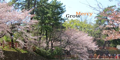 Grow Mercy