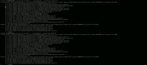 BungeeCord Crasher With Invalid Data Issue 2711 SpigotMC BungeeCord GitHub