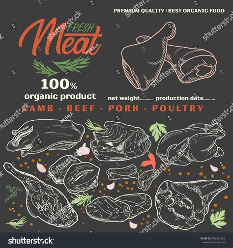 Pieces Raw Meat Set Meat Food Stock Vector Royalty Free Shutterstock