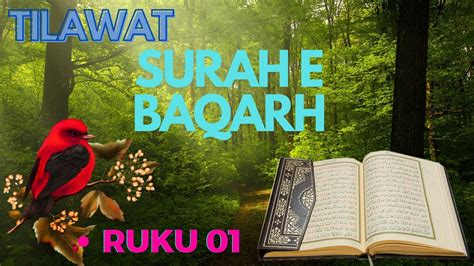 Surah Al Baqarah Ruku 01 With Urdu Translation Quran With Urdu Hindi