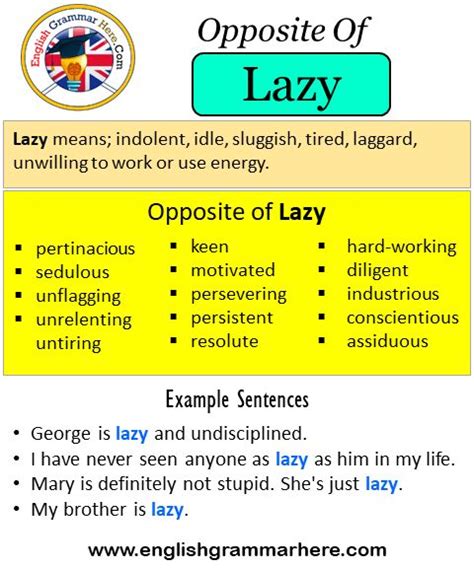 Opposite Of Lazy Antonyms Of Lazy Meaning And Example Sentences Lazy Means Indolent Idle