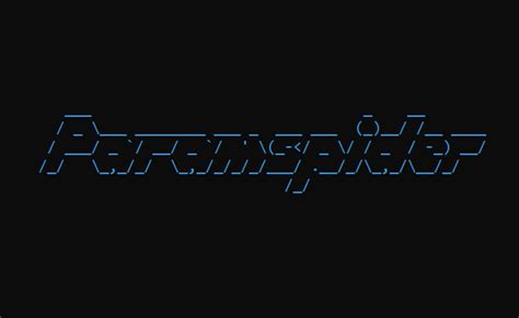 Paramspider On Offsec Tools