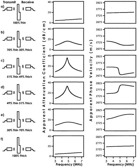 Negative Dispersion In Bone The Role Of Interference In Measurements