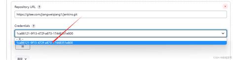 Jenkins部署springboot项目（超详细讲解） Csdn博客