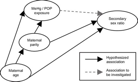 Hypothesised Association Between Methylmercury Mehgpop Exposures And