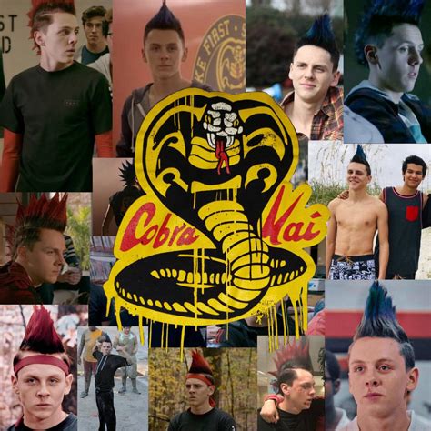 Download Cobra Kai Hawk Compilation Wallpaper