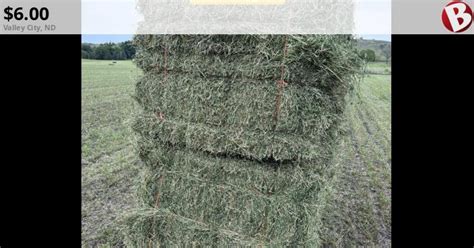Small Square Bales For Sale Valley City Nd