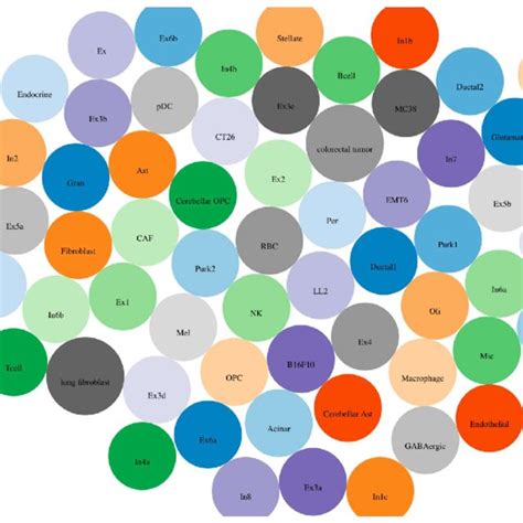 Marker Gene Sets To Annotate Diverse Cell Types Download Scientific Diagram