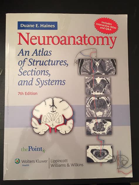 Mua Neuroanatomy An Atlas Of Structures Sections And Systems