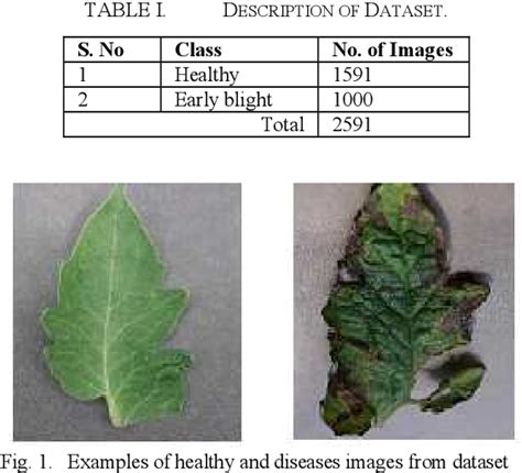 Table I From Implementation Of Convolution Layer In Fpga For Disease Classification In Tomato