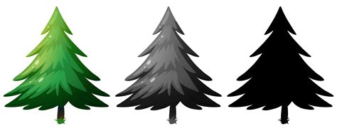 Set Of Pine Tree 432616 Vector Art At Vecteezy