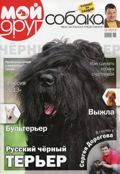 Журнал про собак (70 фото) - картинки sobakovod.club