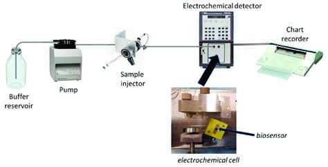 Schematic Diagram Of The Flow Injection Setup Used In The Kinetic Download Scientific Diagram