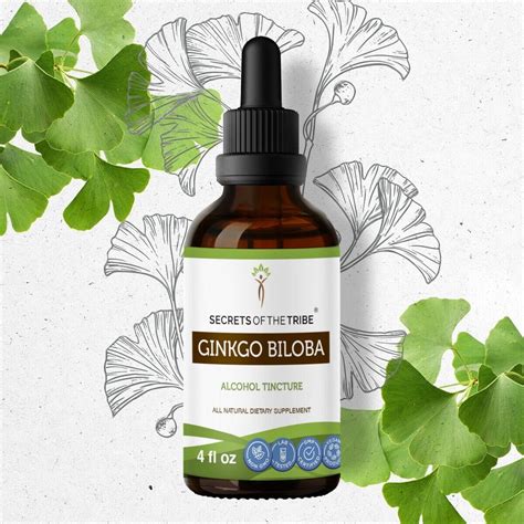 Secrets Of The Tribe Ginkgo Biloba Tincture Dietary Supplement Natural