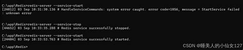 Redis启动报错：handleservicecommands System Error Caught Error Code1056 Message Startservice