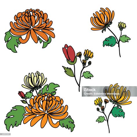 오렌지와 옐로우 국화 분리 꽃다발과 장미 꽃 검은 윤곽 만화 벡터 일러스트 0명에 대한 스톡 벡터 아트 및 기타 이미지 0명 국화 꽃 나무 Istock