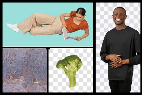 Professional Photography Datasets For Machine Learning