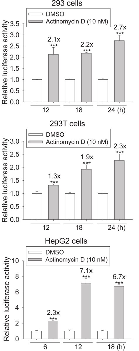 Induction Of The Transcriptional Activity Of P53 Response Element Download Scientific Diagram