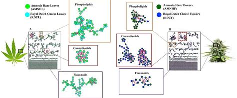 Justin Jj Van Der Hooft On Linkedin Computational Metabolomics