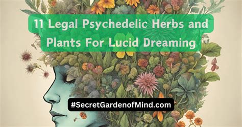 11 Legal Psychedelic Herbs And Plants For Lucid Dreaming S G O M