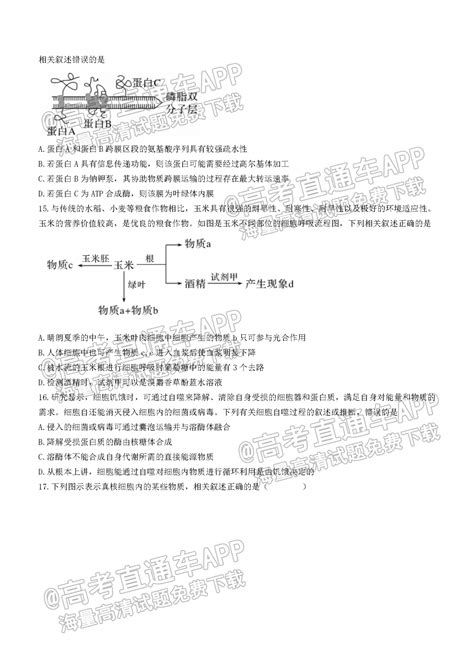 2023陕西师大附中渭北中学高三第一学期期初检测生物试题 高考直通车