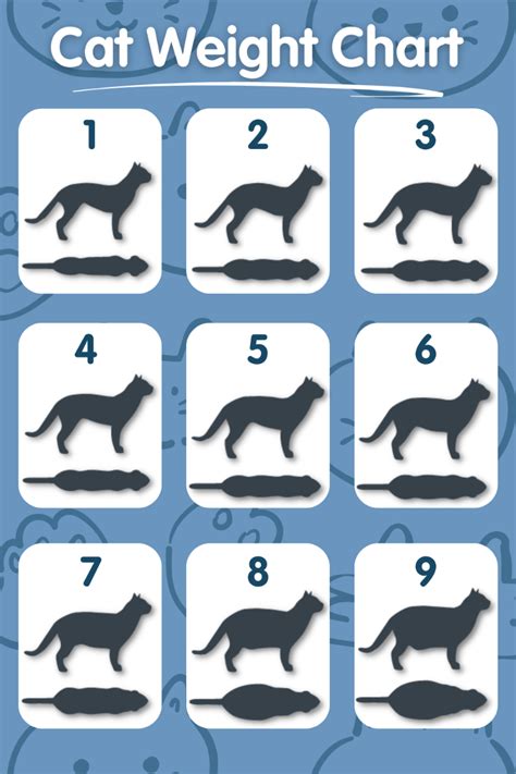 Cat Healthy Weight Chart Weighing Your Cat