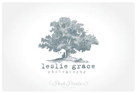 Tree Logo Photography Logo Farm Logo Business Branding Etsy