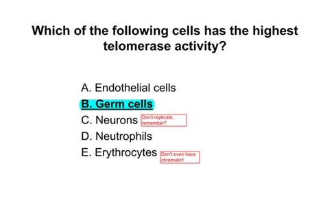 Apoptosis Lecture Powerpoint Slides 1 1pdf