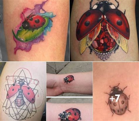 What Do Ladybug Tattoos Mean Tattooadore