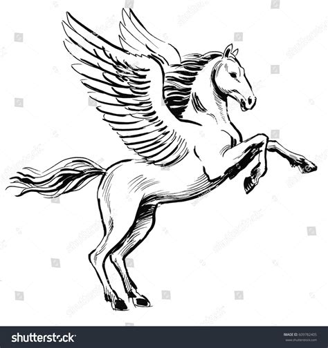 28043 페가수스 이미지 스톡 사진 및 벡터 Shutterstock