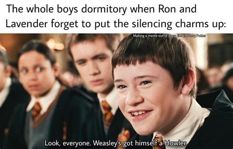 Roonil Wazlib And The Deathly Howler R Harrypottermemes