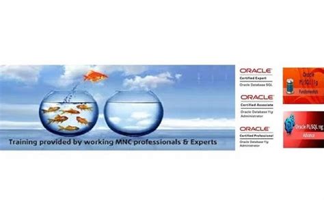 Java Module With Frameworks In Kolkata ID