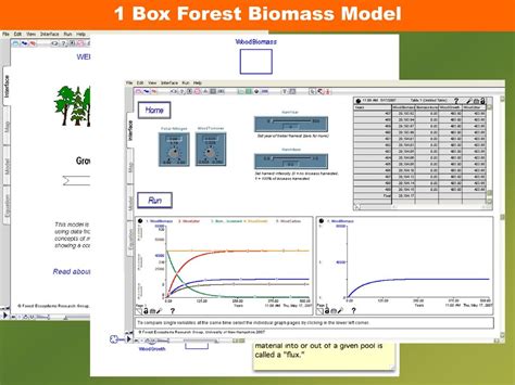 Globe Carbon Cycle Modeling Forest Ecosystems Ppt Download