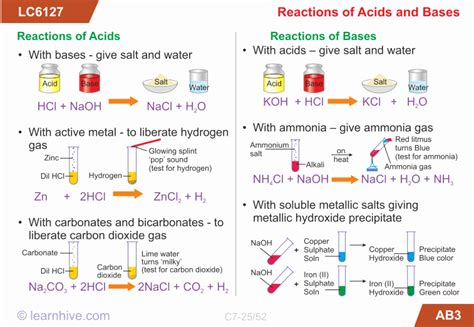 50 Acid And Bases Worksheet Answers Chessmuseum Template Library
