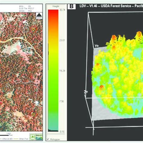 Main Display Of The Web Lidar Forest Inventory Application 3d