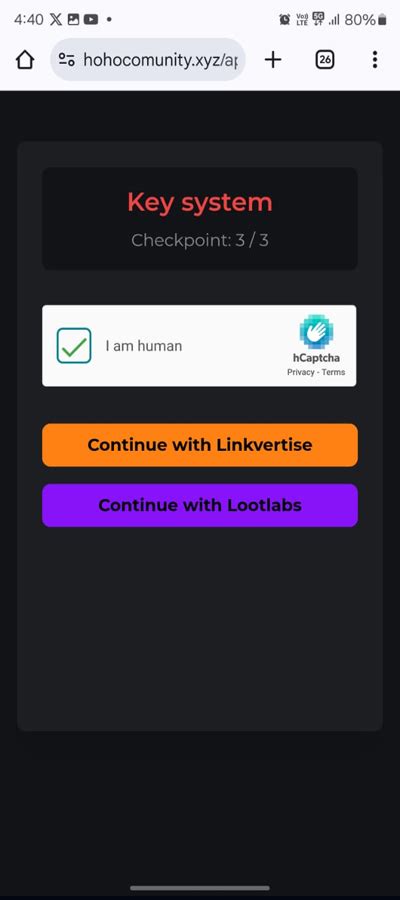 Hoho Hub Script Copy Latest Hoho Script [upd 27] July 2025