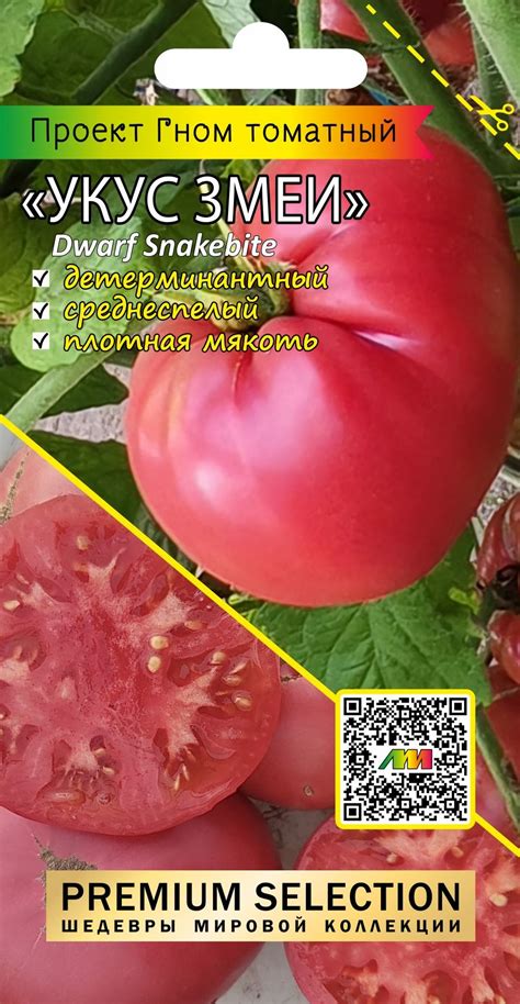 Купить семена Томат Гном Укус змеи - Любовь Мязина