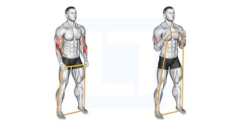 Finger Curls Guide Benefits And Form