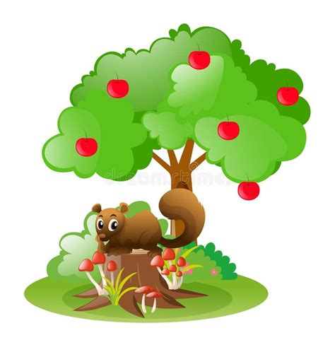 Squirrel Under Apple Tree Stock Illustrations 2 Squirrel Under Apple